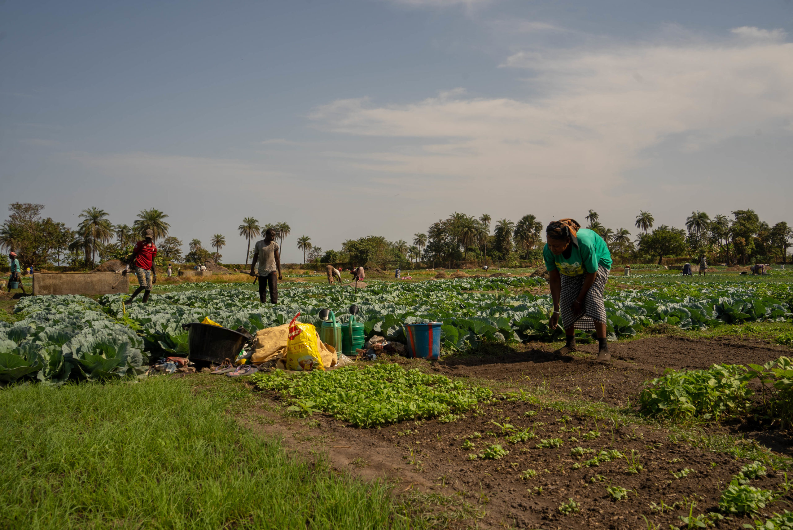 The Gambia - WasteAid